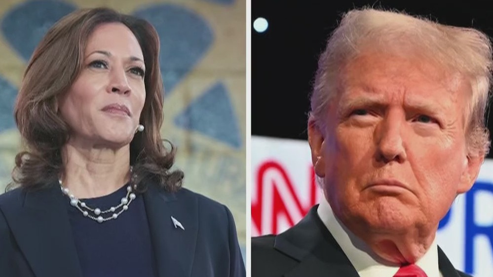 Trump: Cheney is ‘irrelevant rino’ | Cuomo – NewsNation