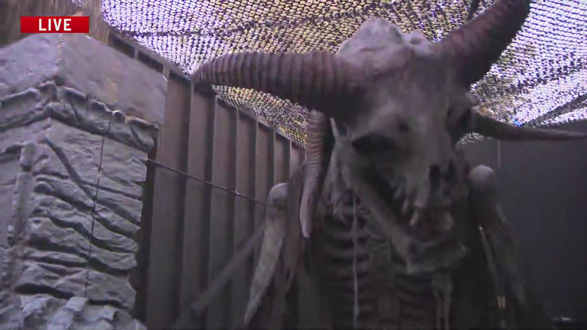 Inside the Spell Keeper, the newest haunted house at Adventureland’s ...