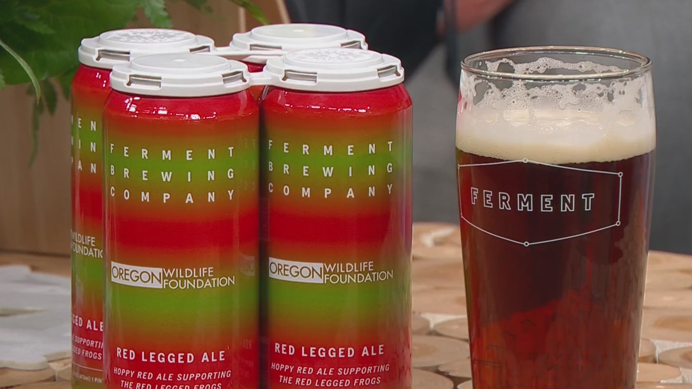 Ferment Brewing collab protects Red-Legged Frogs – KOIN.com