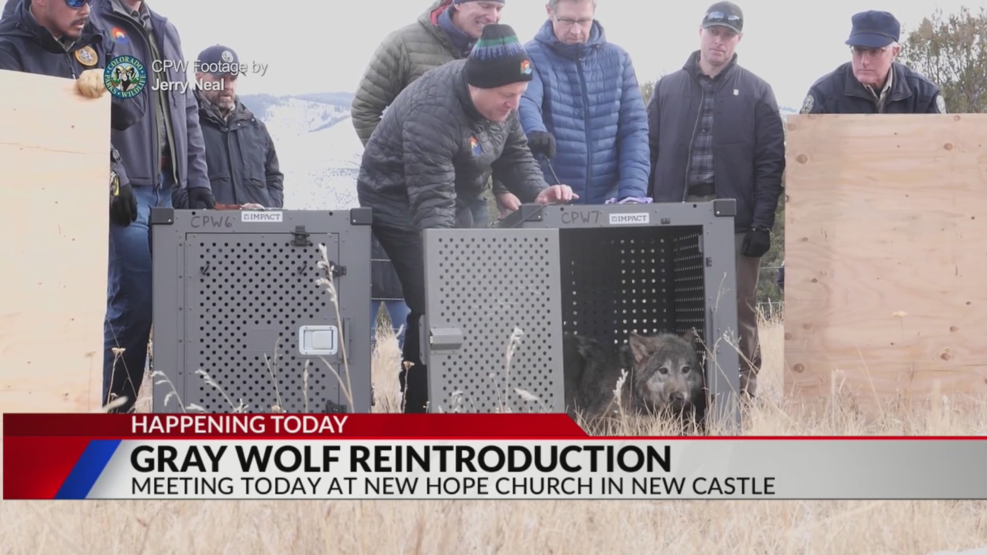 Wolf re-introduction meeting – FOX31 Denver