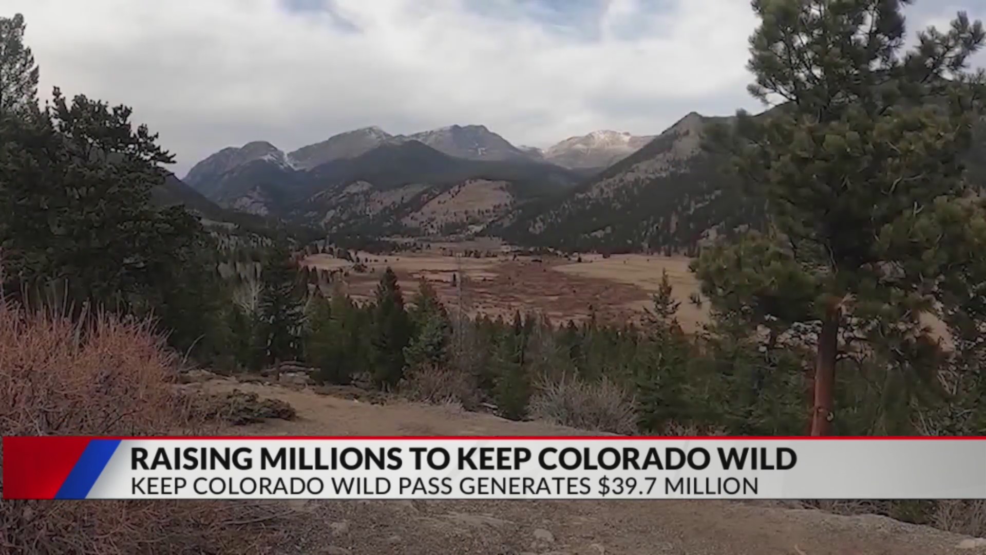 Keeping Colorado Wild proves to be a successful strategy – FOX31 Denver
