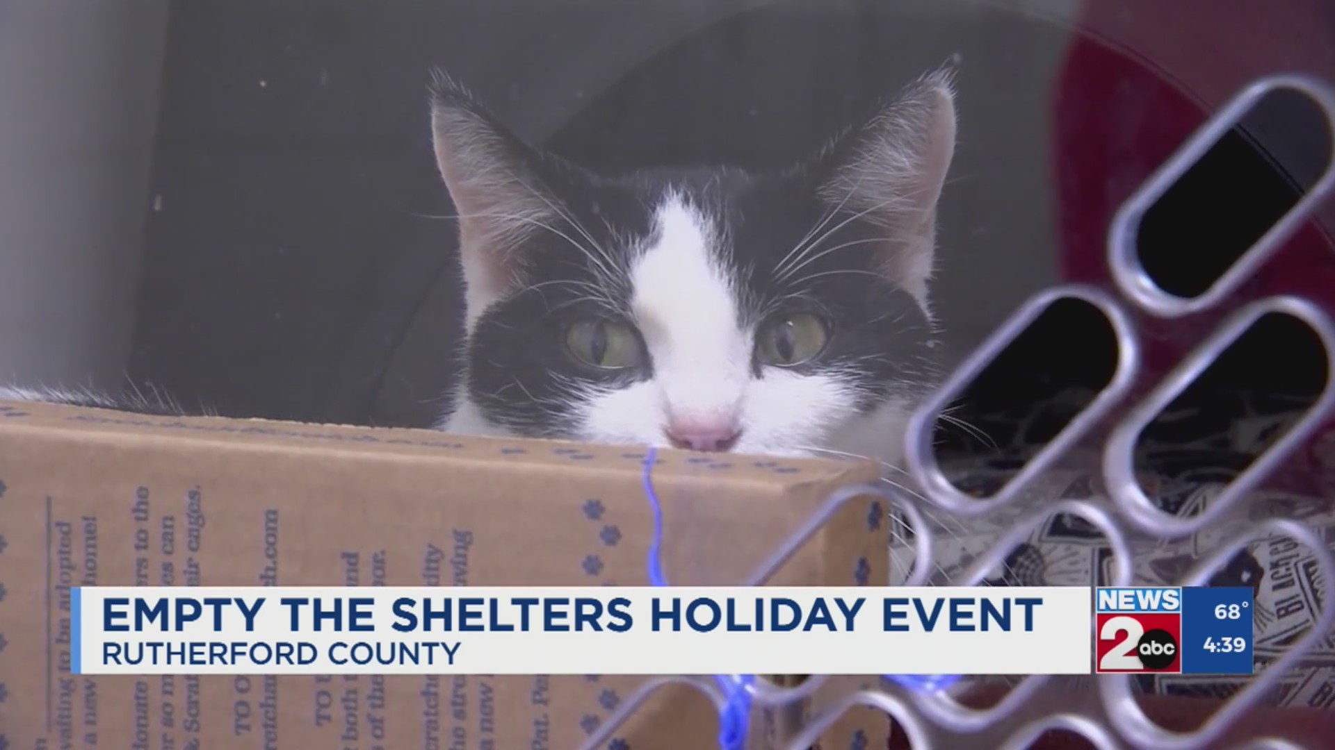 Empty the shelters holiday event – WKRN News 2
