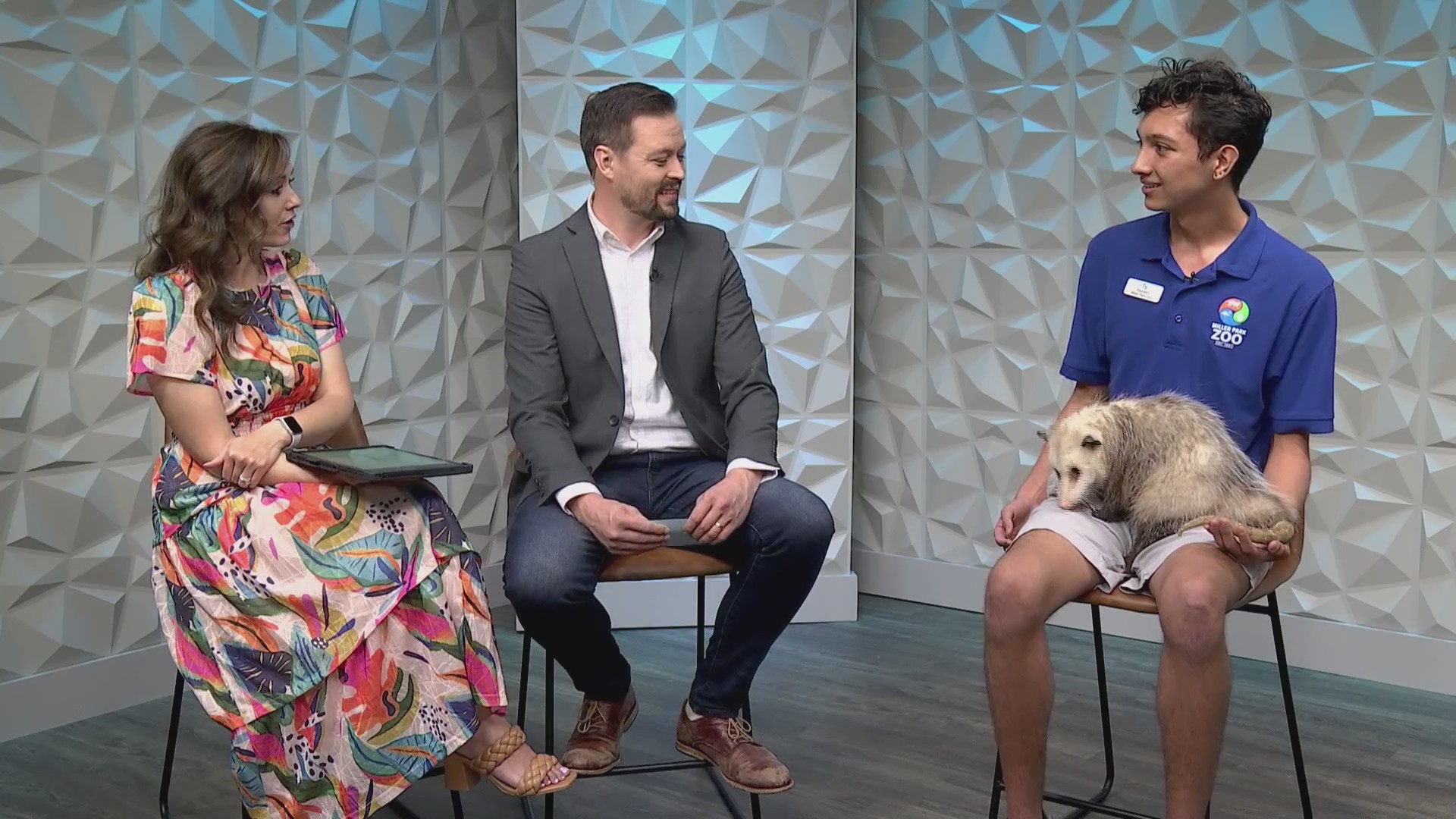 Miller Park Zoo introduces Ringo | ciLiving – WCIA.com