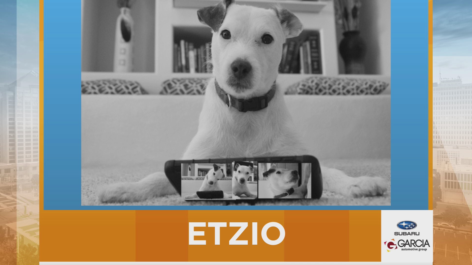 New Mexico Living Pet Pics July 22, 2025 – KRQE NEWS 13 – Breaking News ...