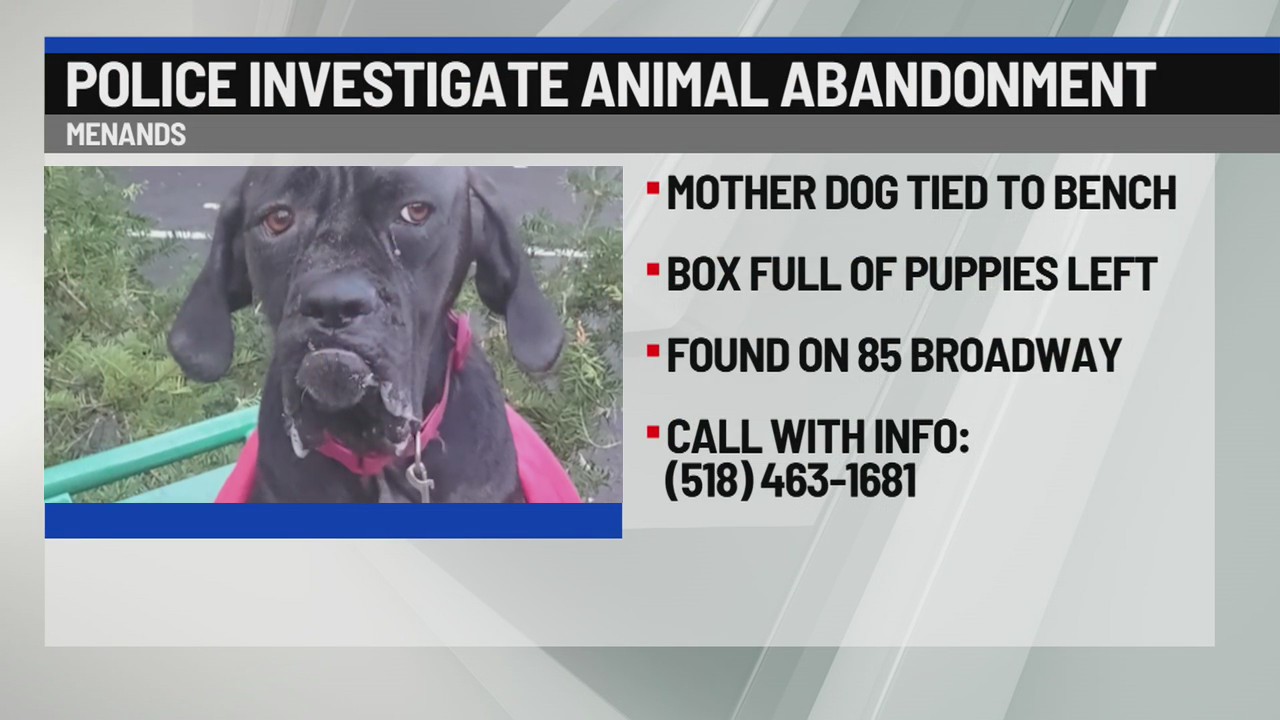 Police investigate animal abandonment in Menands – NEWS10 ABC