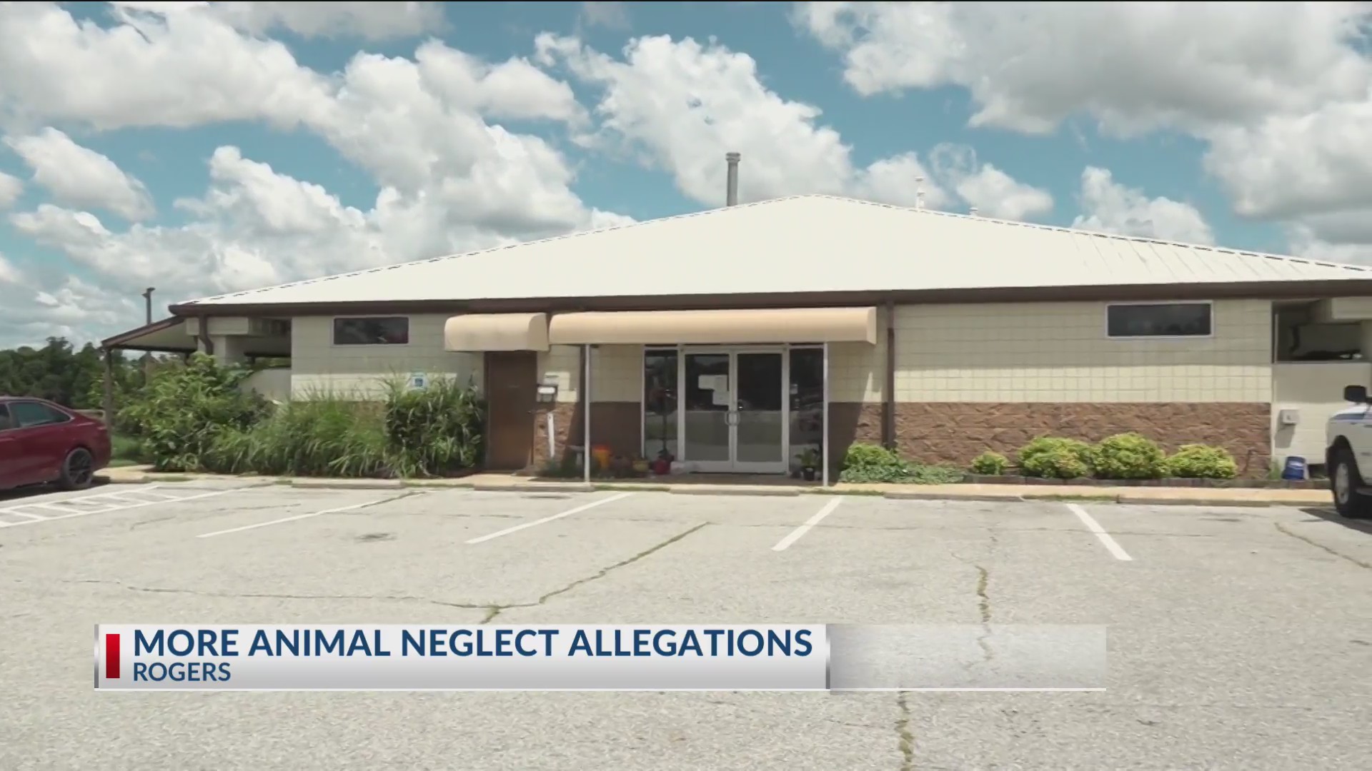 ‘Disturbing case of prolonged neglect:’ Animal rescue speaks out ...
