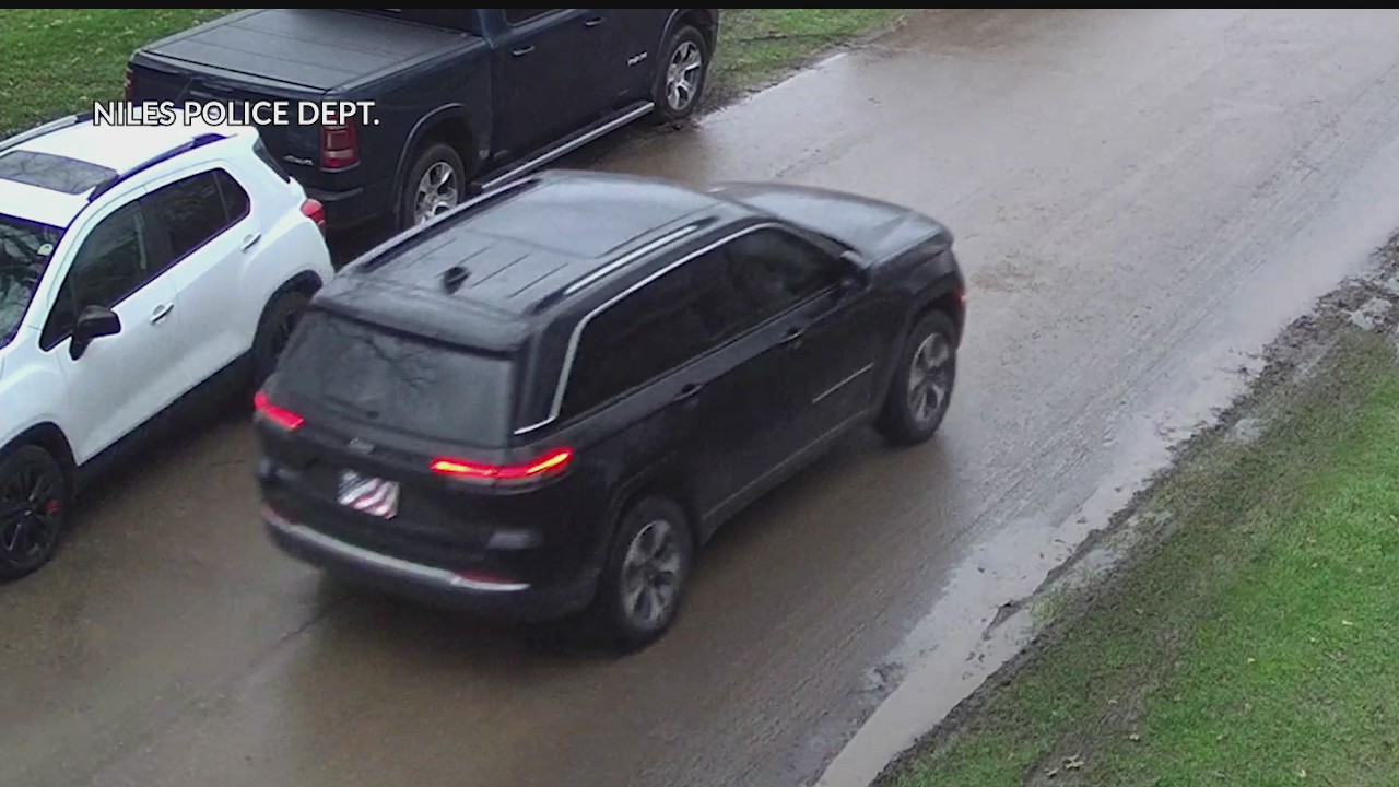 Suspect in local vehicle break-in spree nabbed in dragnet – WKBN.com