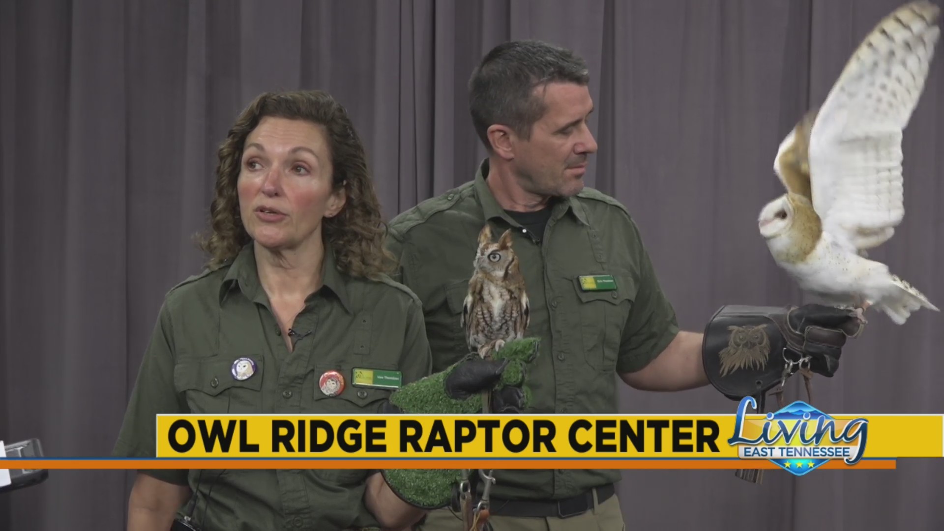 Owl Ridge Raptor Center – WATE 6 On Your Side