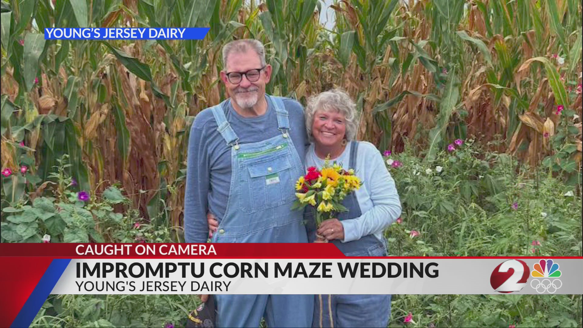 Young’s Jersey Dairy hosts impromptu corn maze wedding – WDTN.com