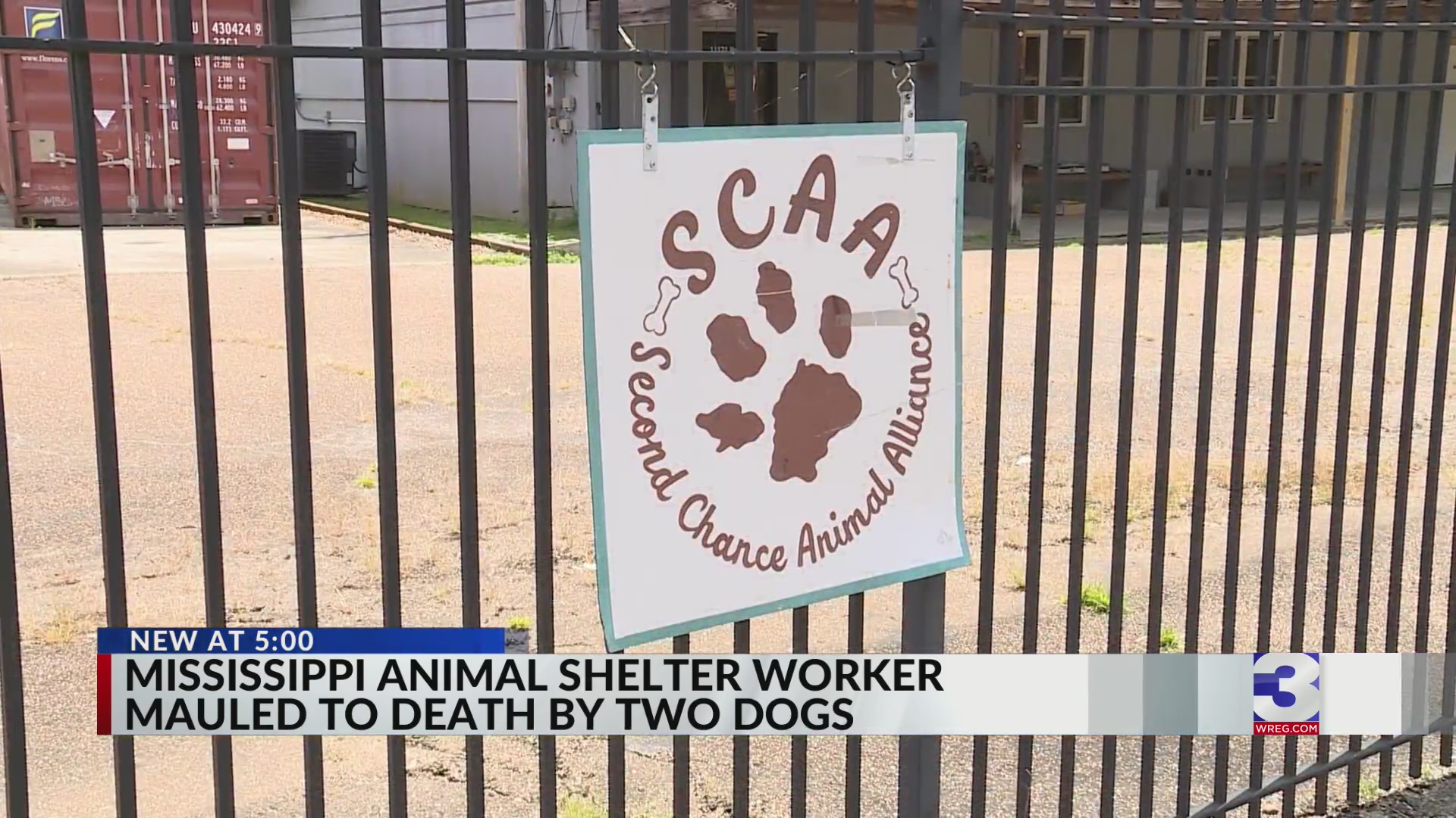 MS man mauled to death by two dogs at animal shelter – KSN-TV