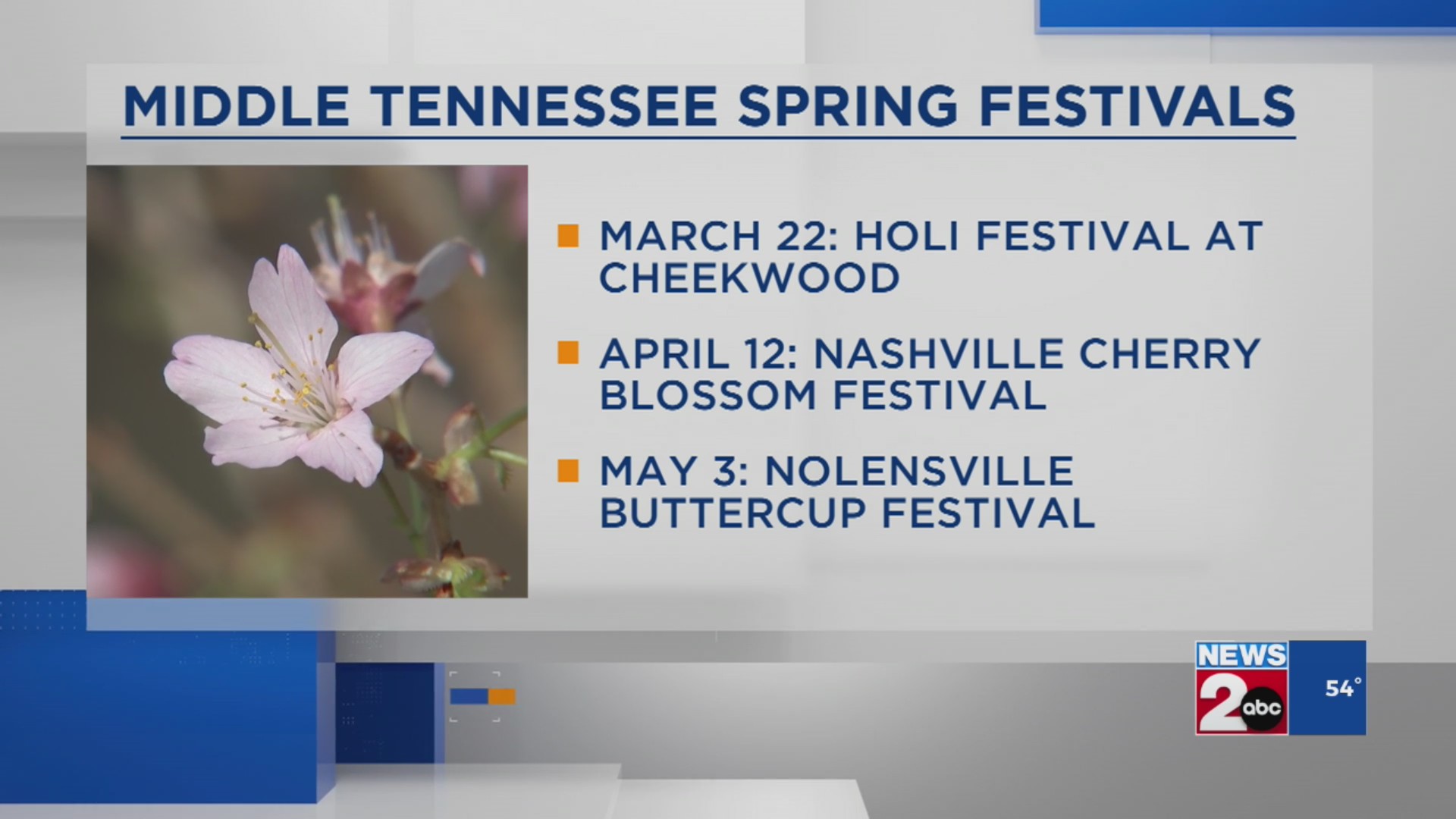Upcoming spring festivals in Middle Tennessee – WKRN News 2
