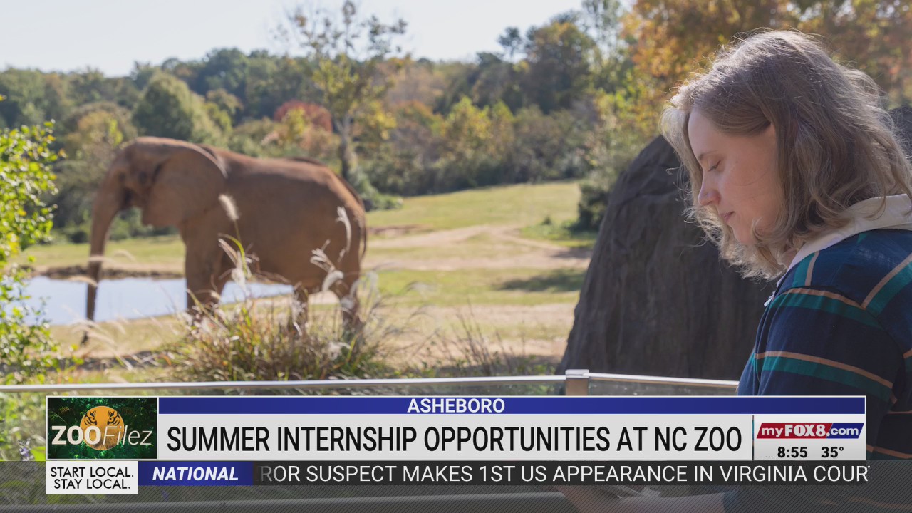 Summer internships at the North Carolina Zoo – FOX8 WGHP