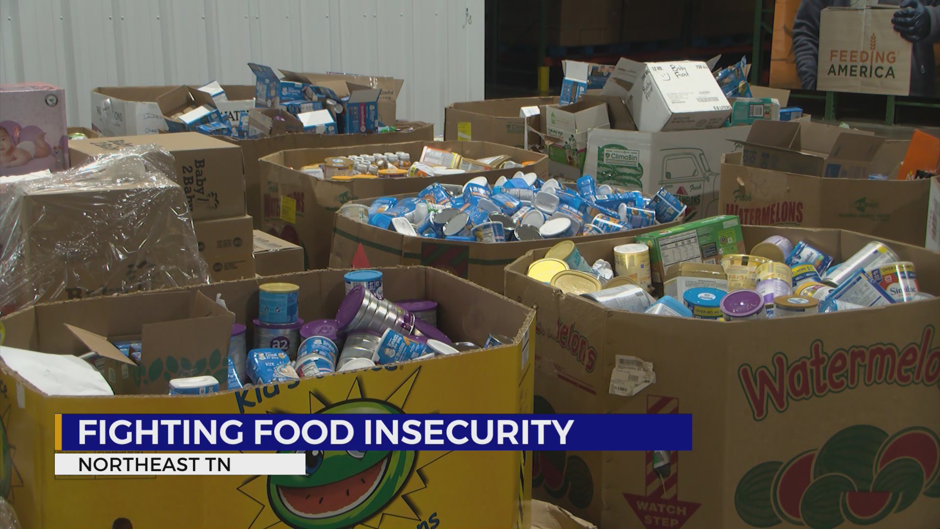 1 in 5 northeast Tennessee children are food insecure, Map the Meal Gap ...