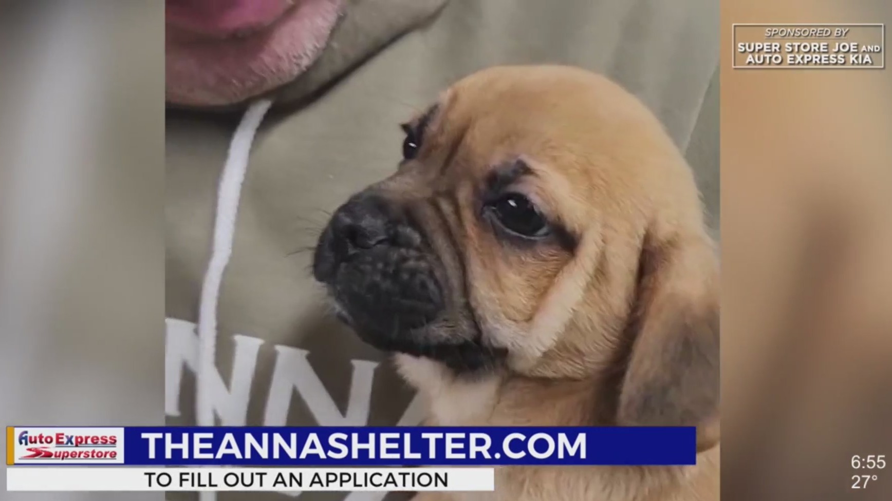 Jet Pet: Puggle puppies ready for adoption at The ANNA Shelter – WJET ...