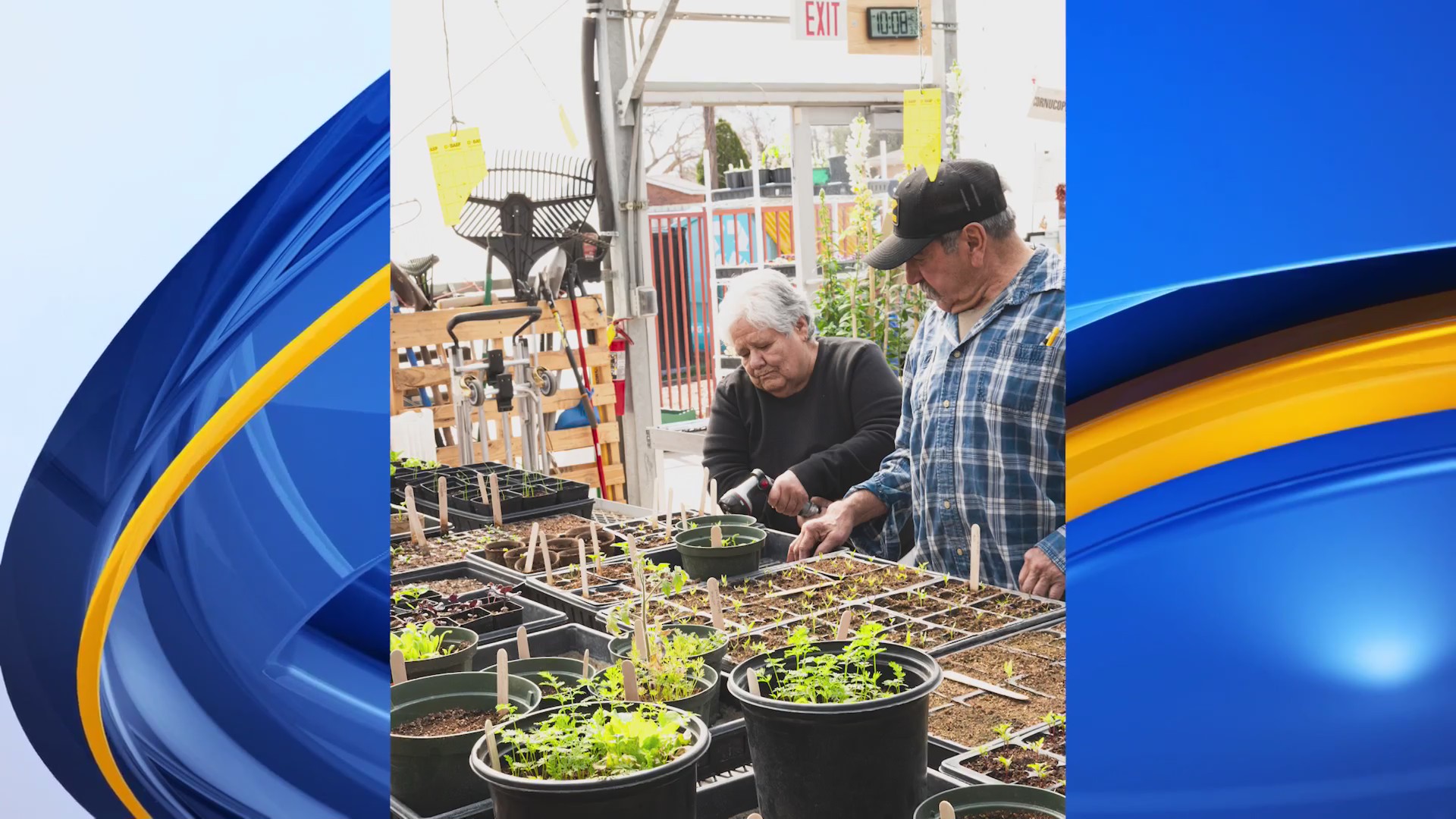 Cornucopia adult and family services launching plant shop – KRQE NEWS ...