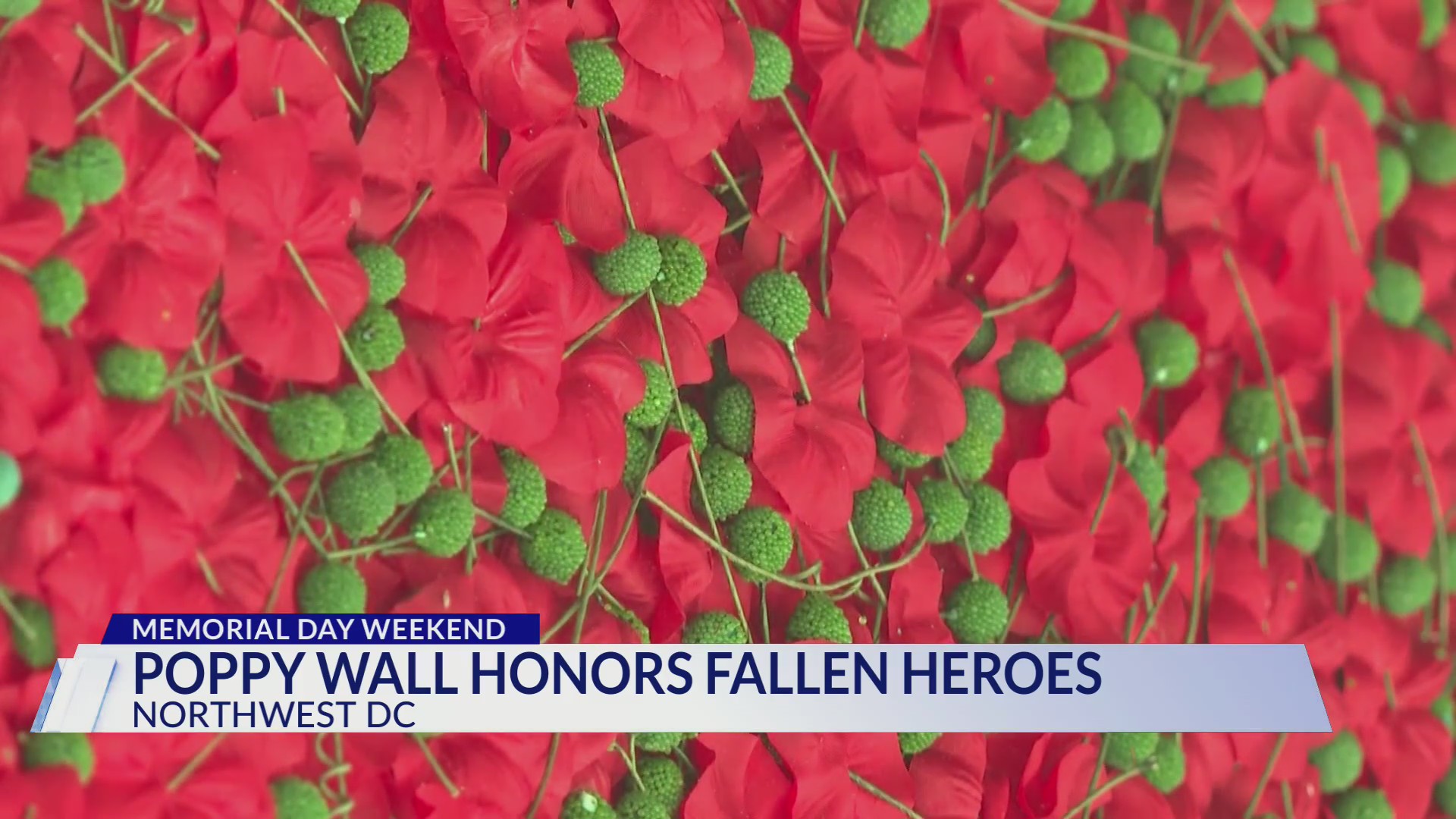 Poppy Wall of Honor on display on National Mall for Memorial Day ...