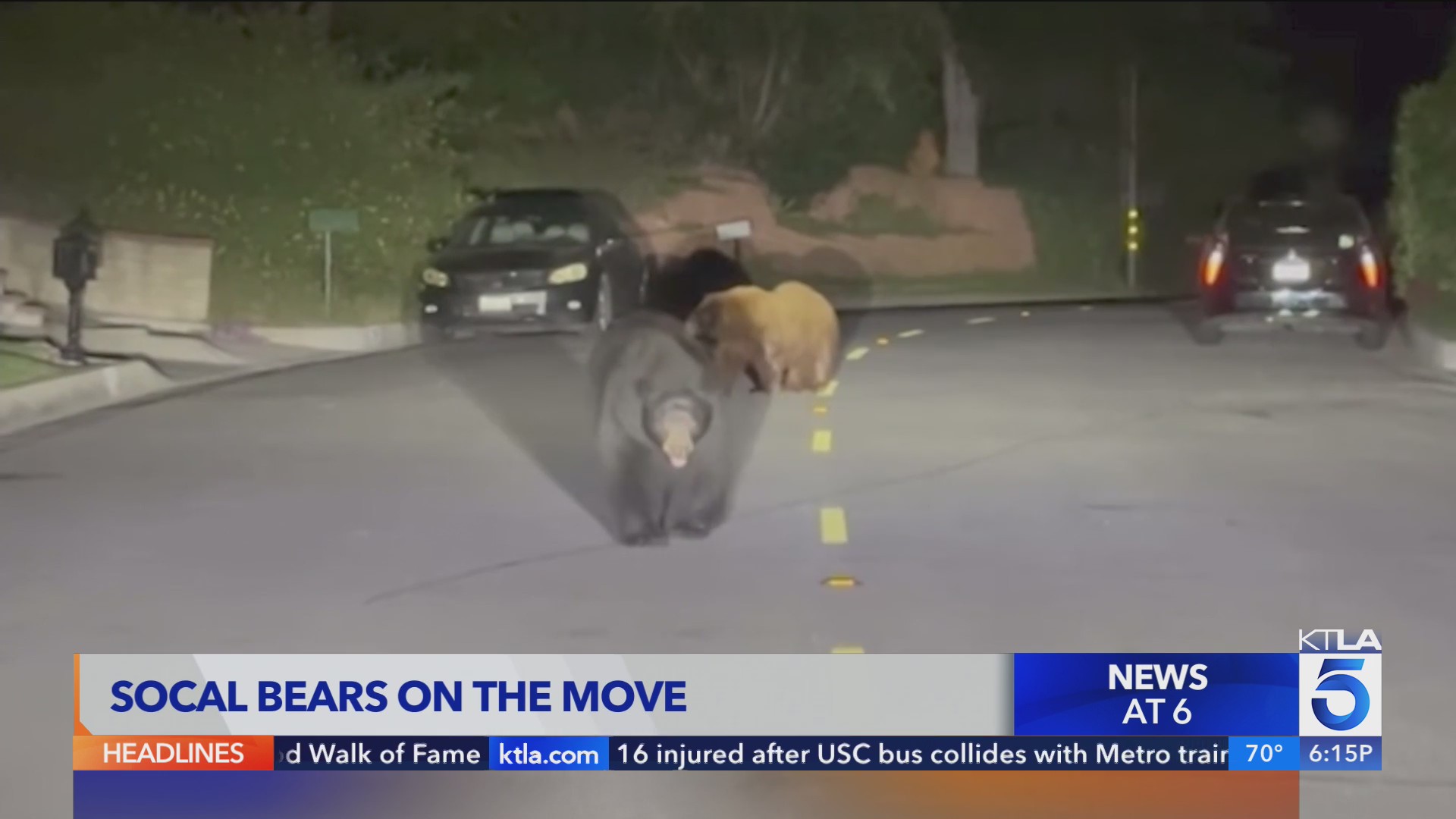 Belly-scratching bear among a surge in recent Southern California ...