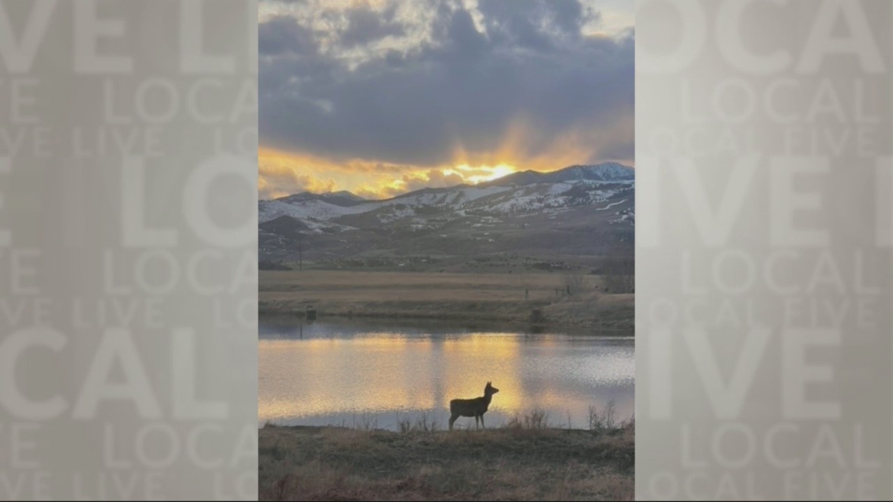 Kerry 6-11-24 – WFRV Local 5 – Green Bay, Appleton