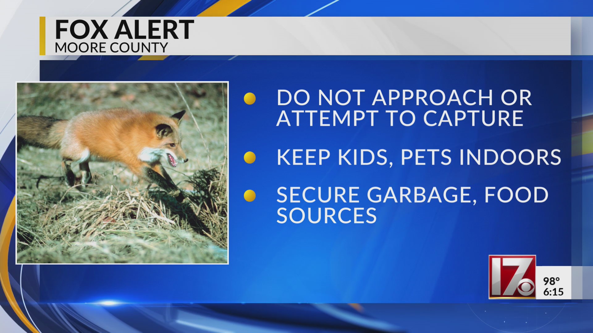 Fox bite incident reported in Moore County – CBS17.com