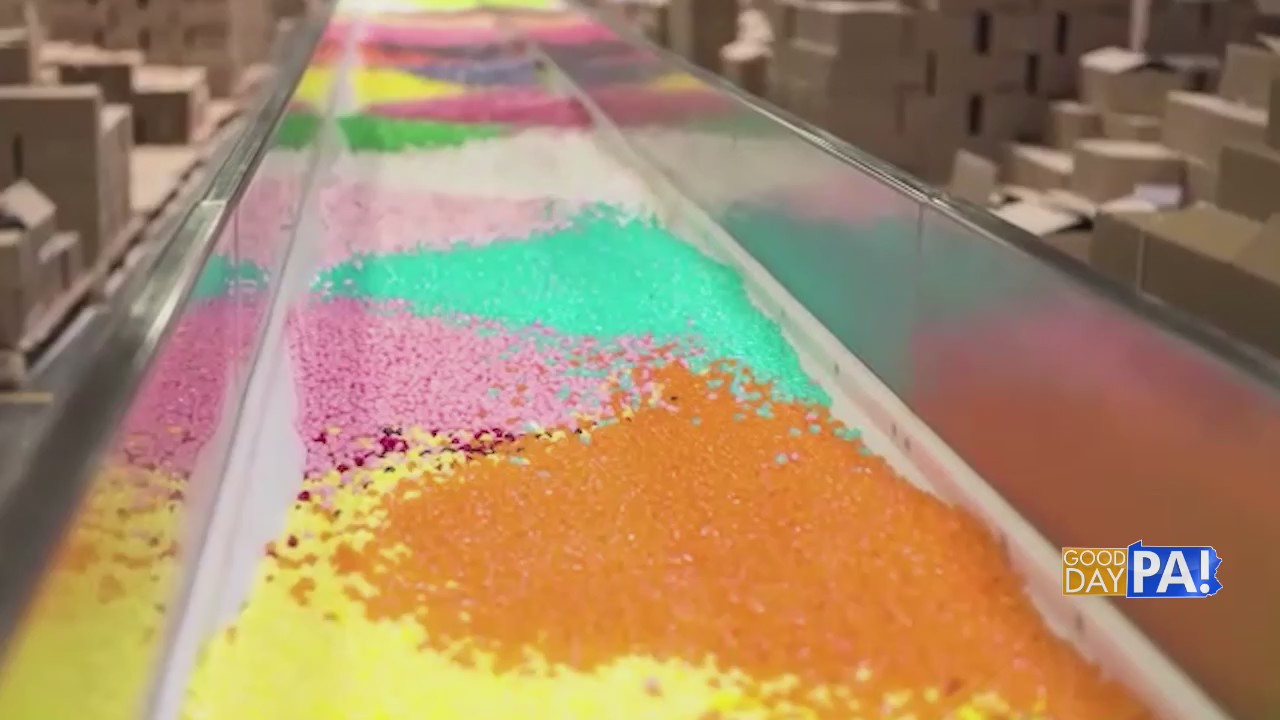 Become the First Ever Chief Jelly Belly Bean Officer – ABC27