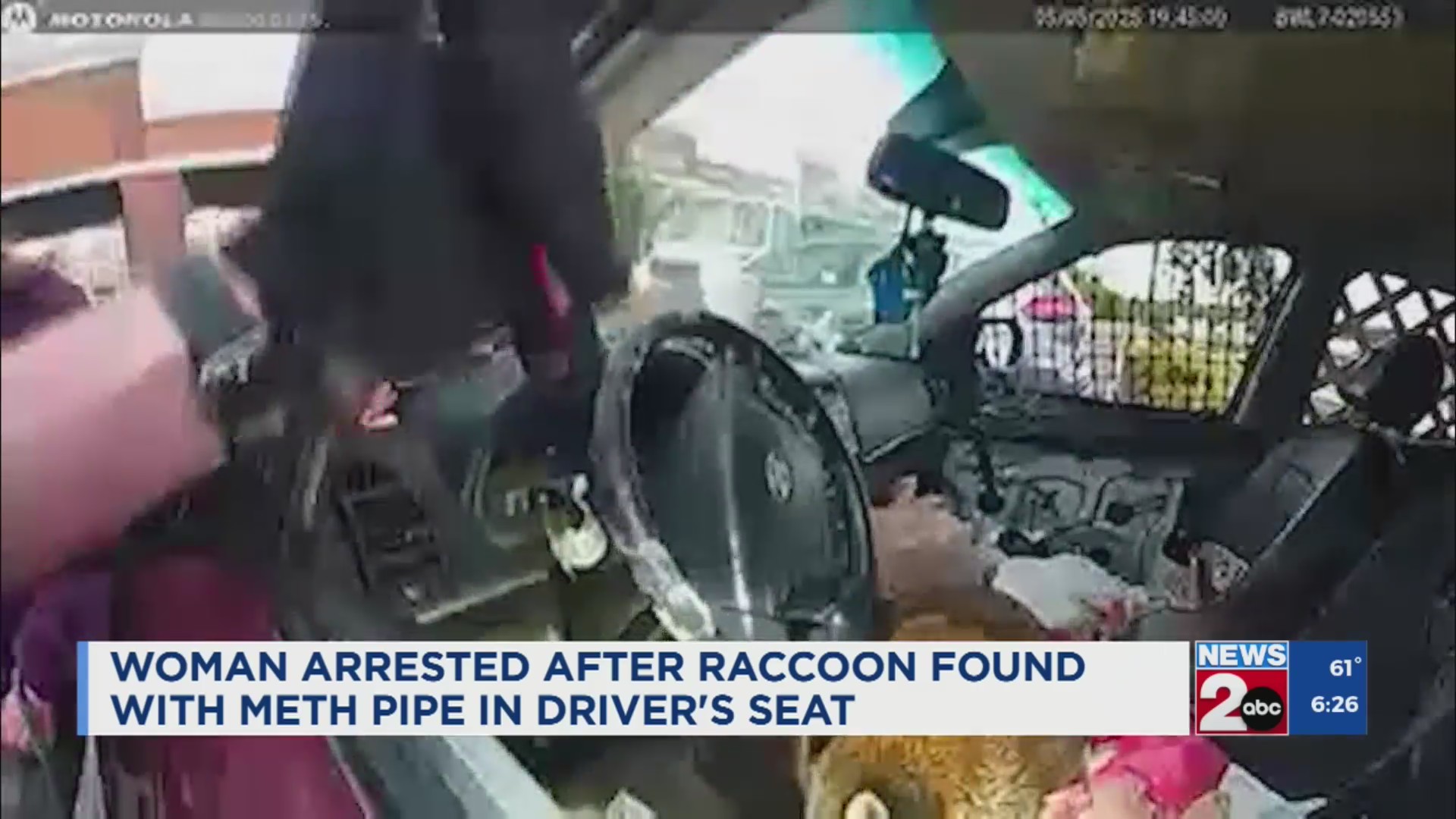Woman arrested after racoon found with meth pipe in driver’s seat ...
