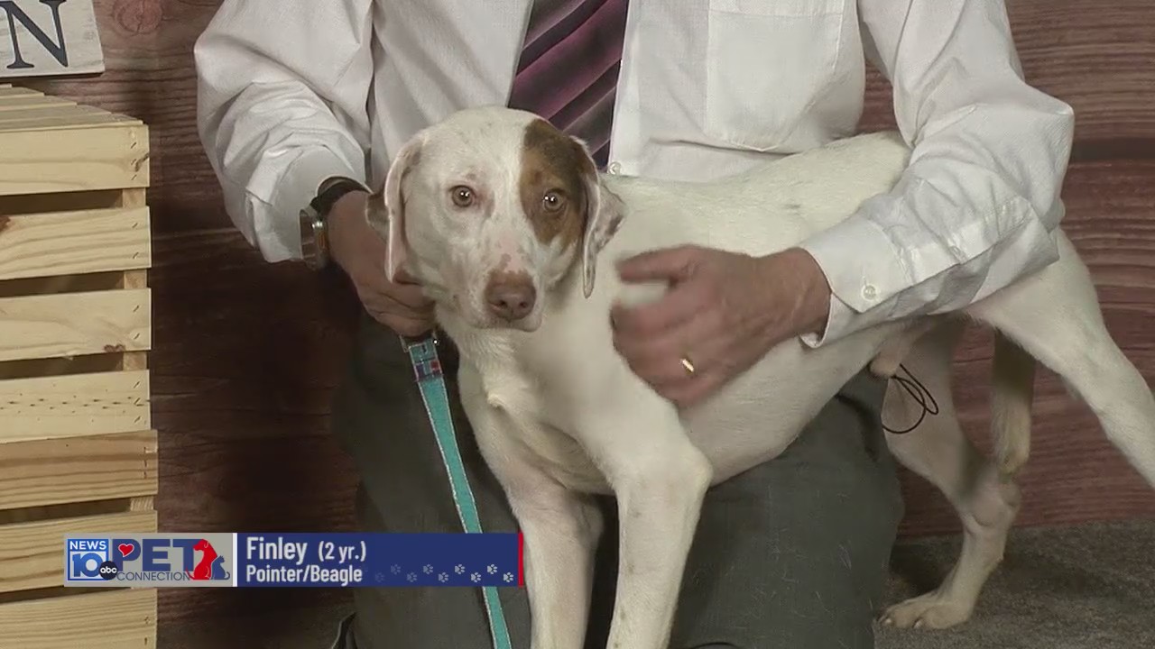 Finley – NEWS10 ABC