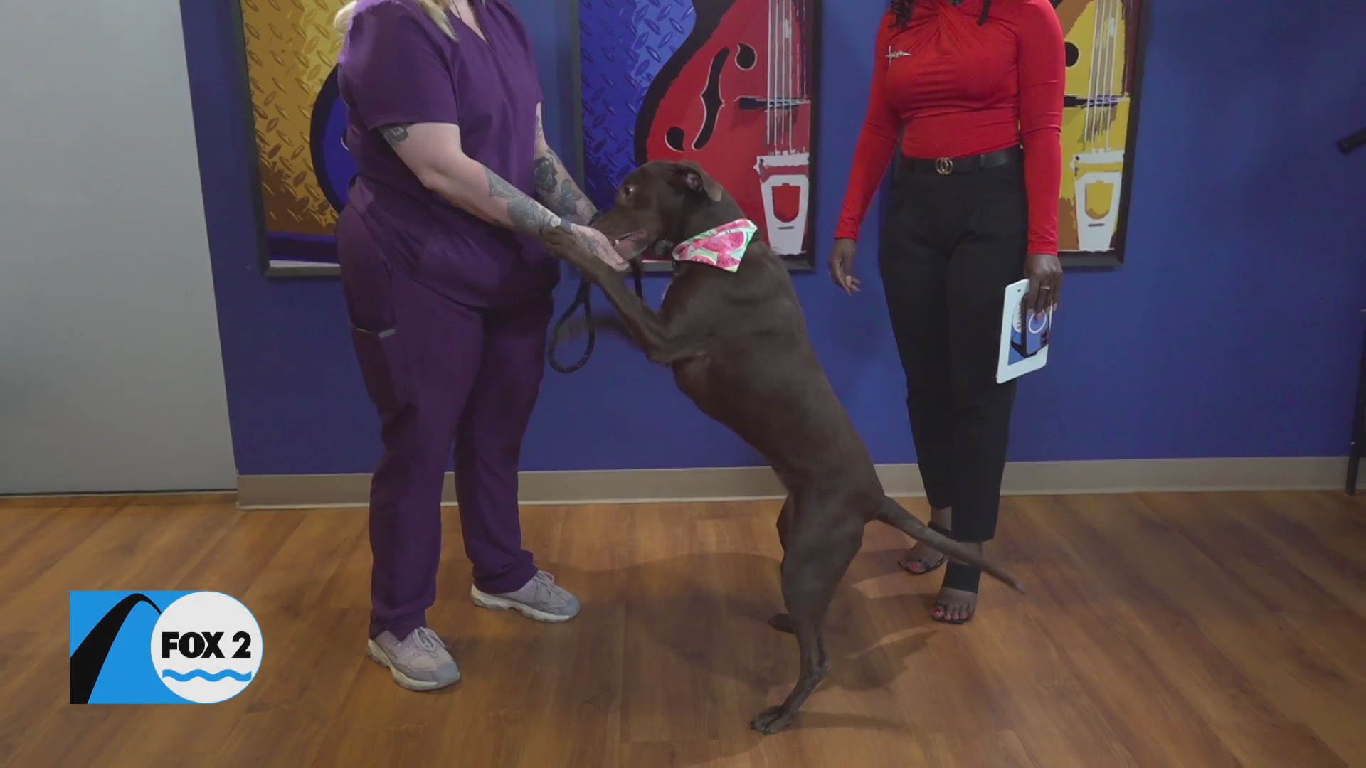 Tail Waggin’ Tuesday: Adopt these two adorable furry friends! – FOX 2