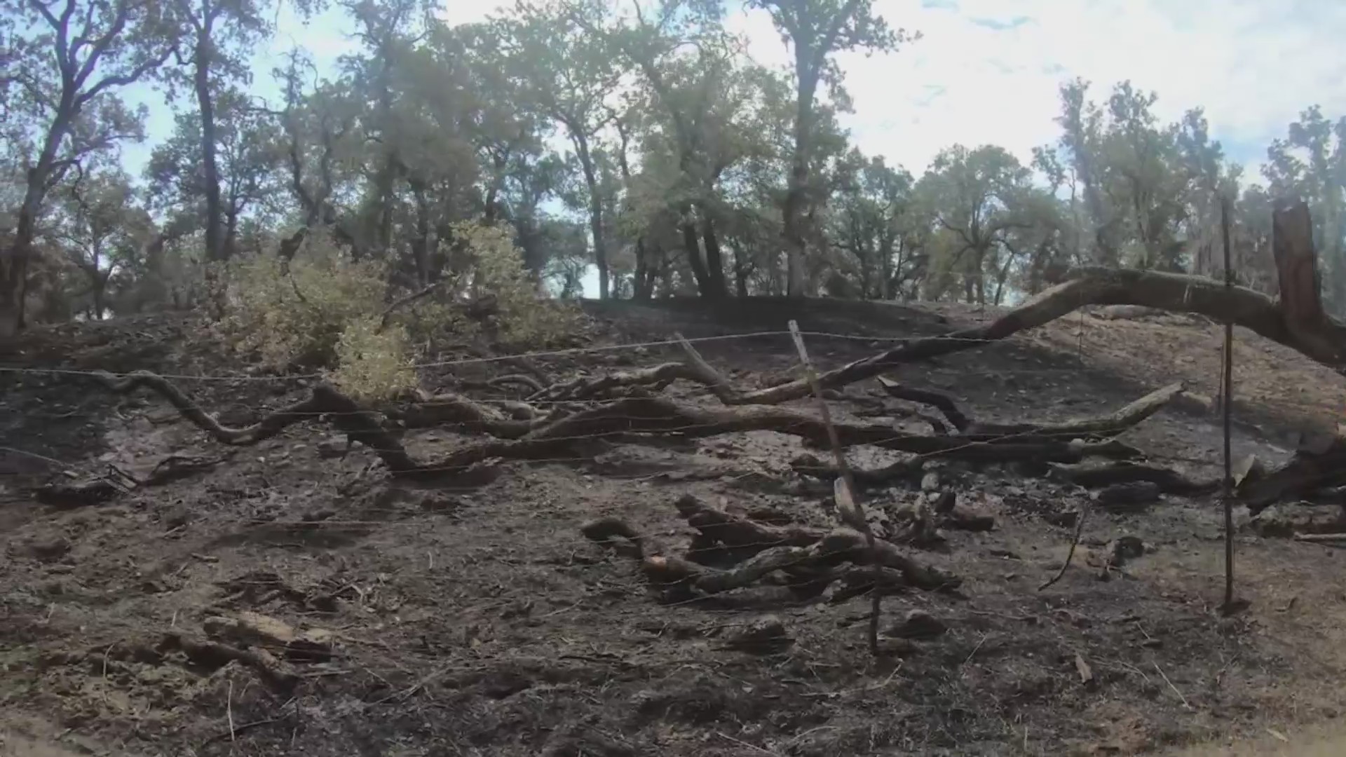 Pickett Fire containment at 25% – KRON4