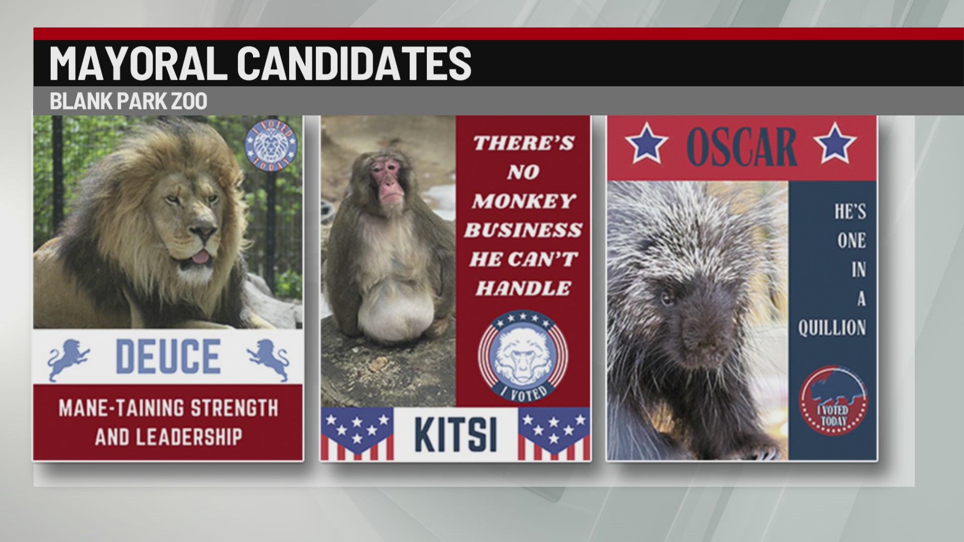 Elections, New Animals, and Protecting Pollinators: Catching up with ...