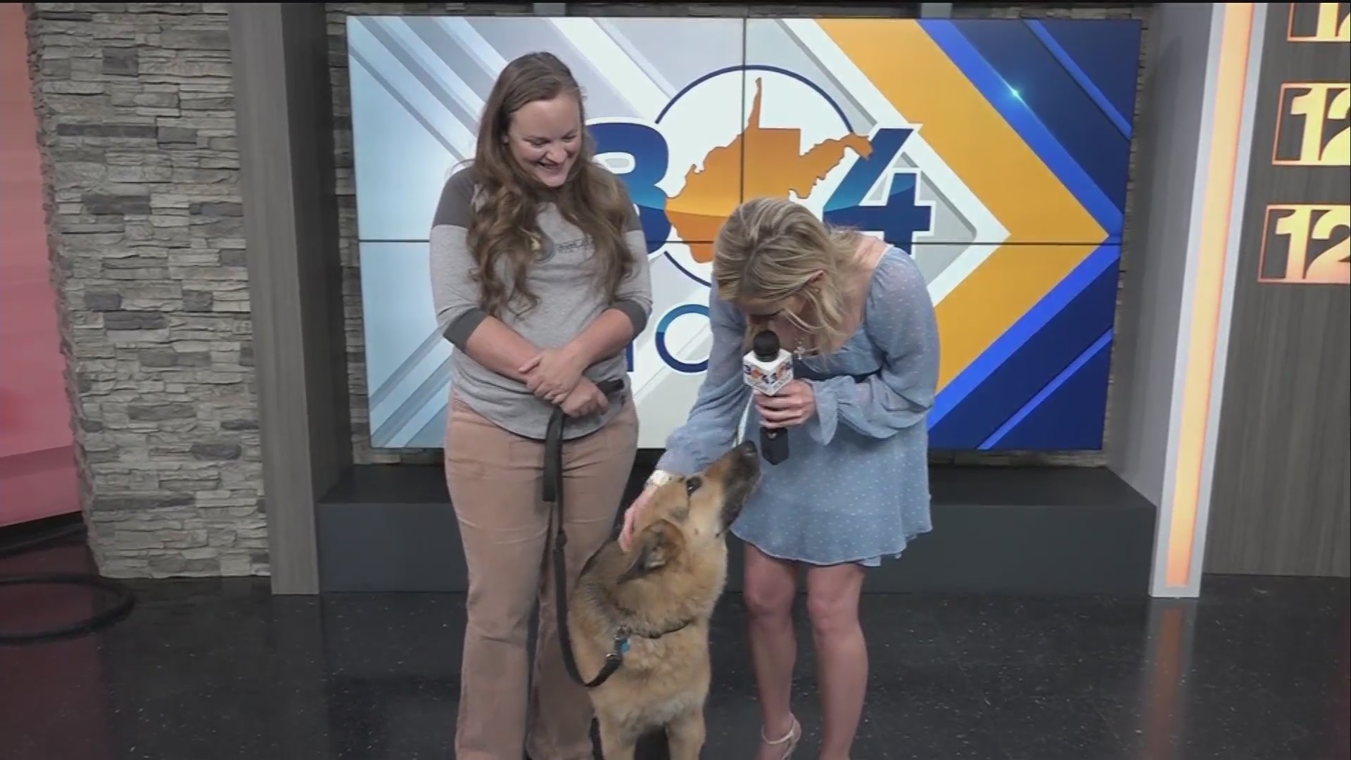 304 Today: Ruff Start Dog Training – WBOY.com