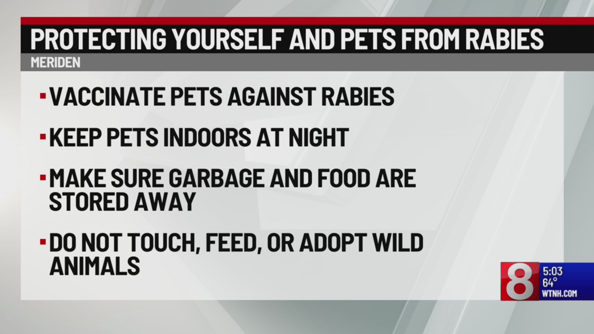 Raccoon tests positive for rabies in Meriden – WTNH.com