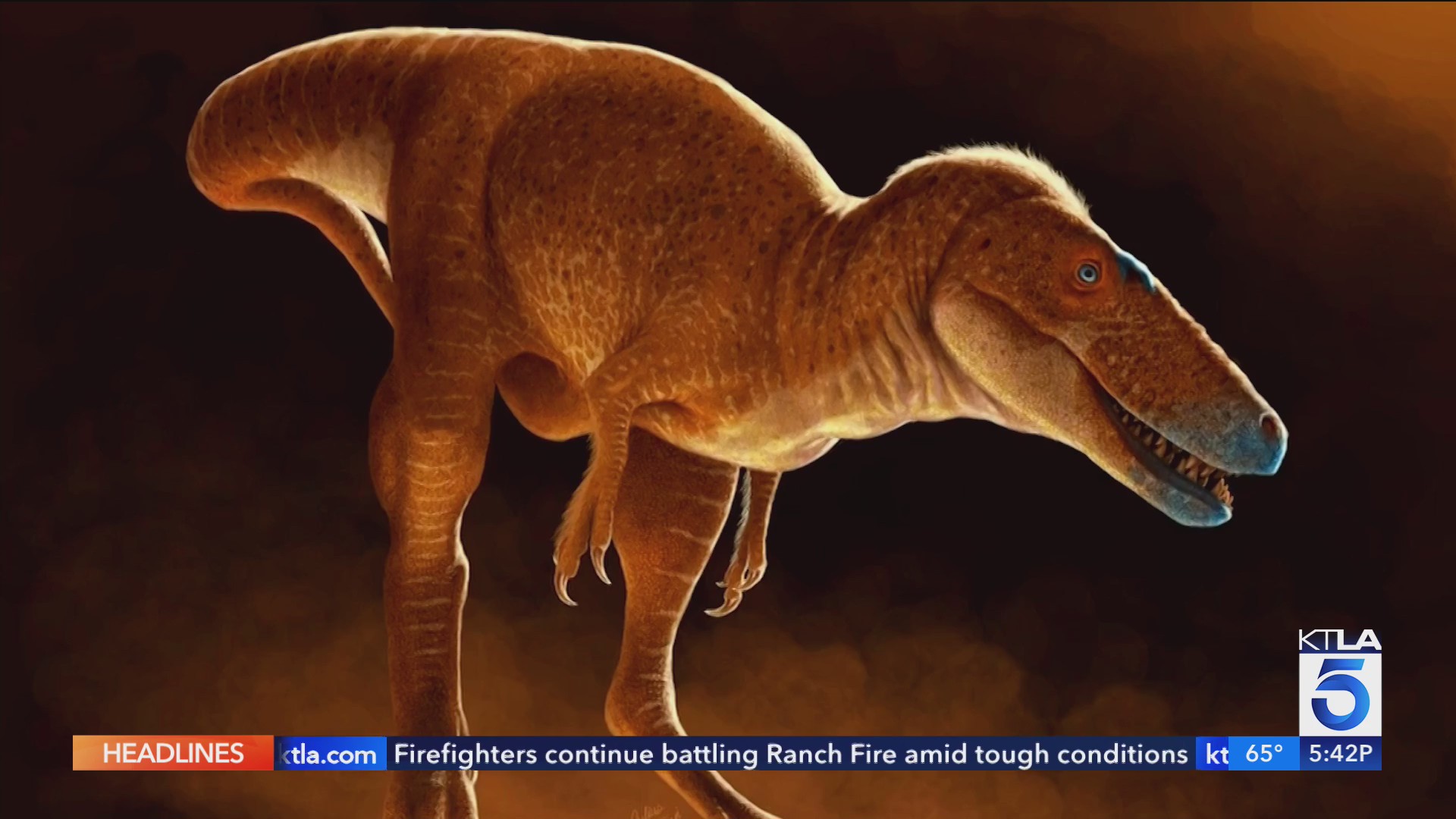 New Tyrannosaur species reshapes T. rex family tree – KTLA