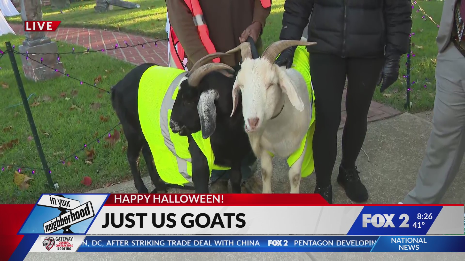 Just Us Goats – FOX 2