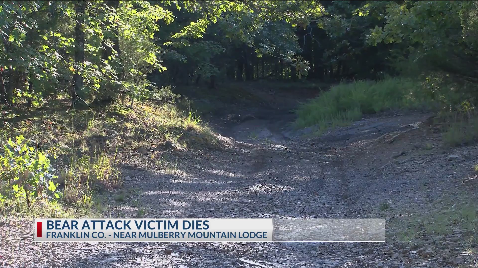 Bear attack victim dies – KNWA FOX24