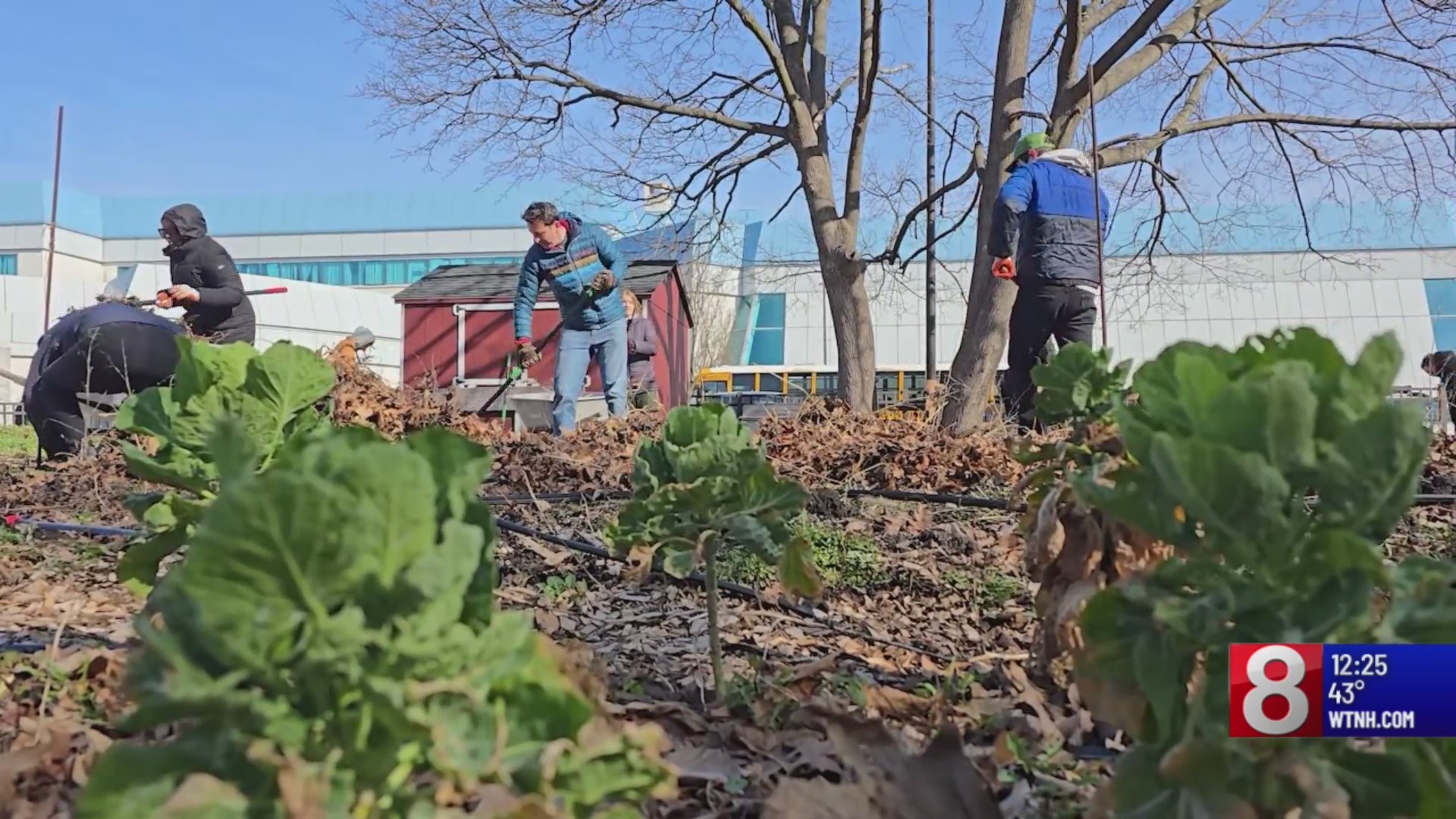 Volunteers clean community garden in honor of Yale’s inauguration of ...