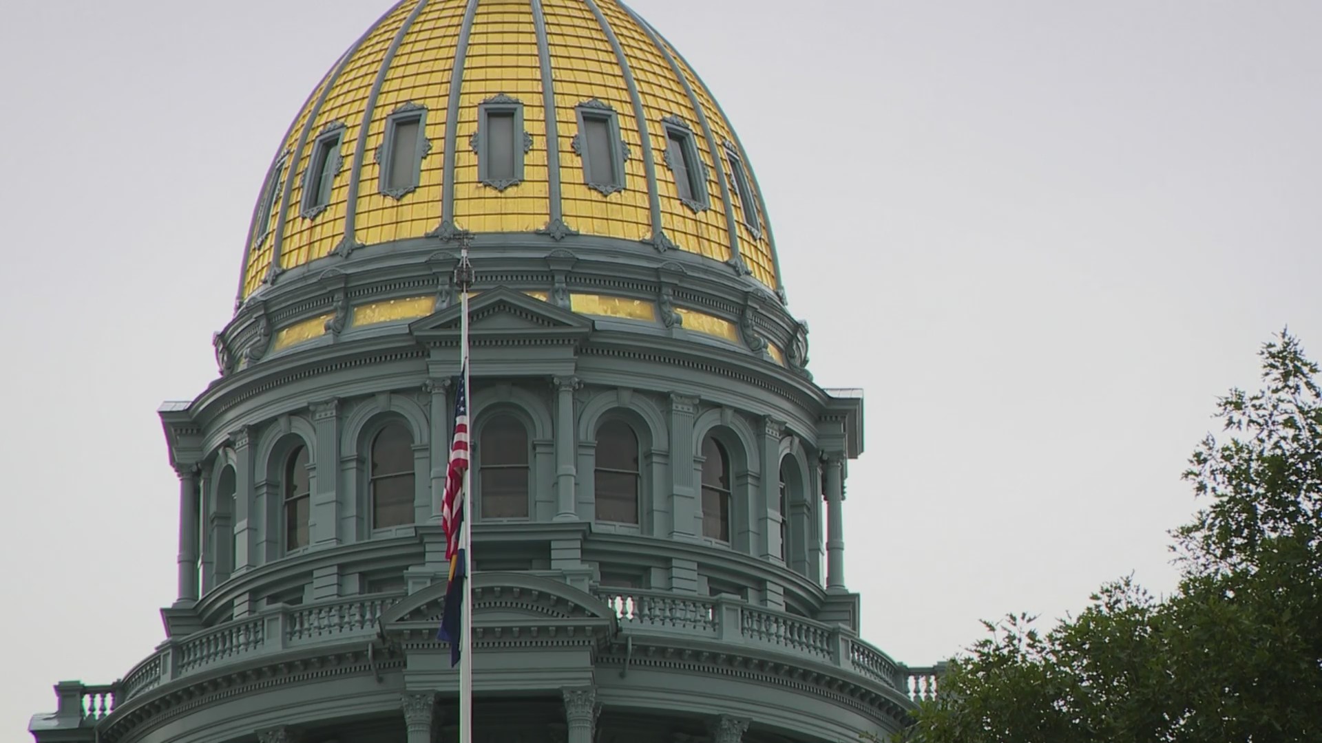 Bill would pause Colorado wolf reintroduction program, redirect funds ...