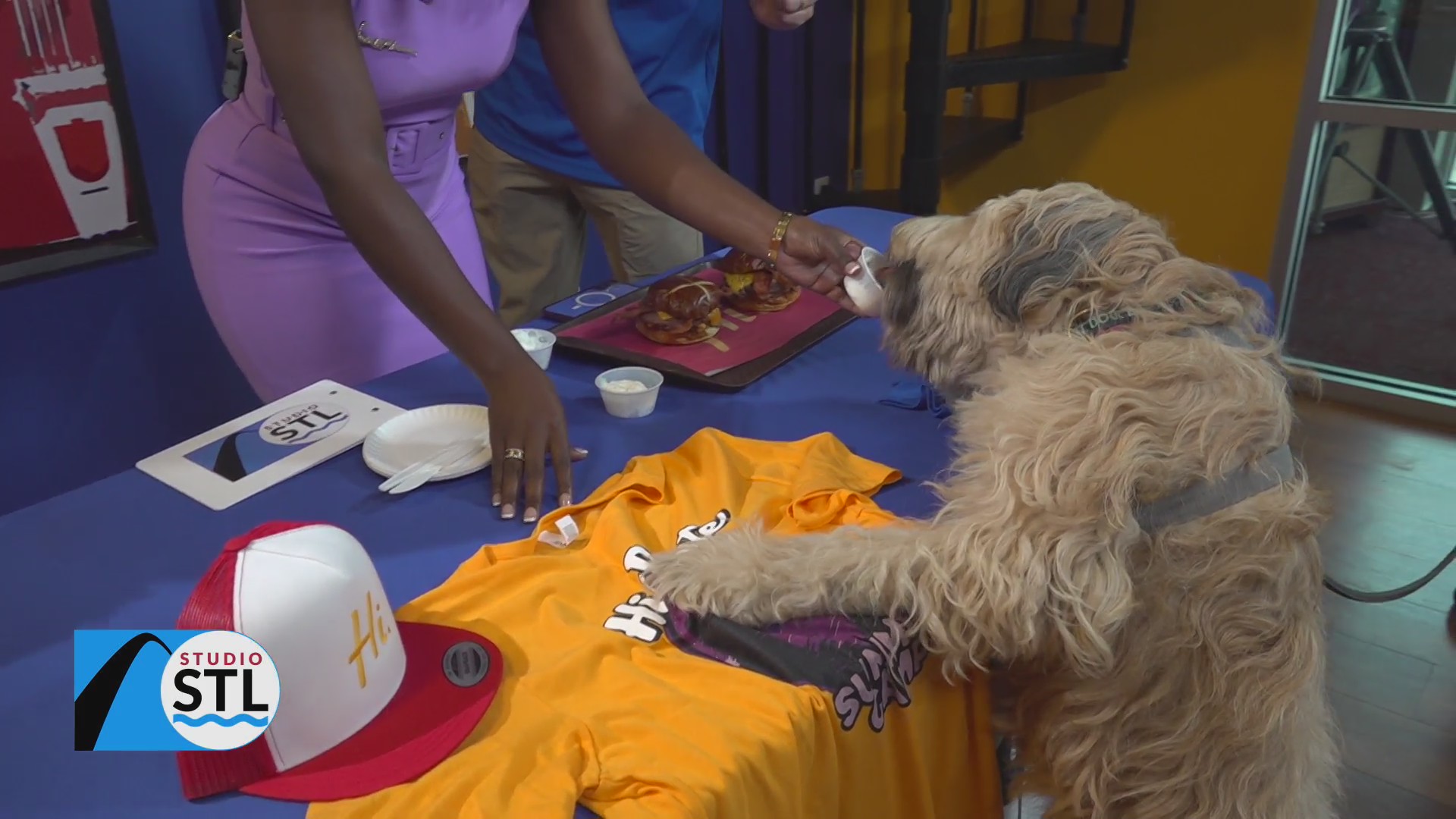 Hi-Pointe’s ‘Sit. Stay. Slay.’ burger aids Stray Rescue STL – FOX 2