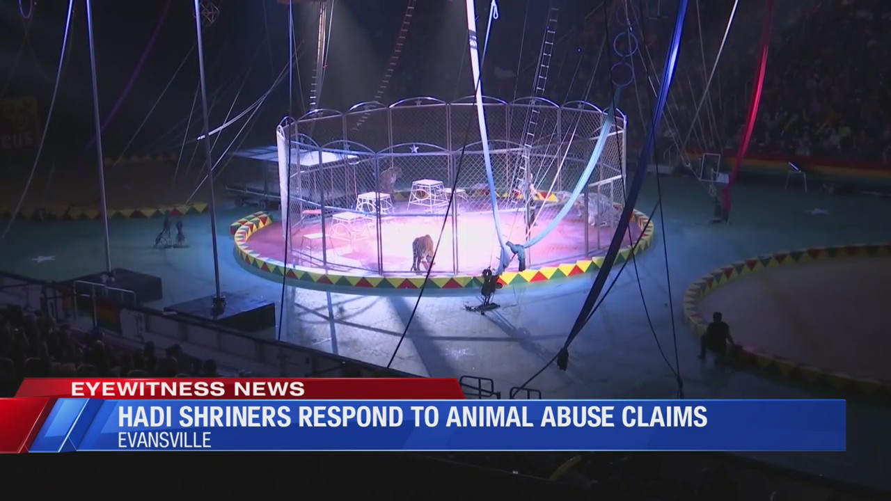Hadi Shrine Circus animal abuse – Eyewitness News (WEHT/WTVW)