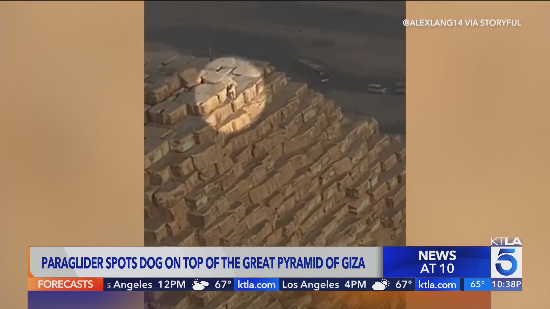 Dog spotted roaming atop Great Pyramid of Giza – KTLA