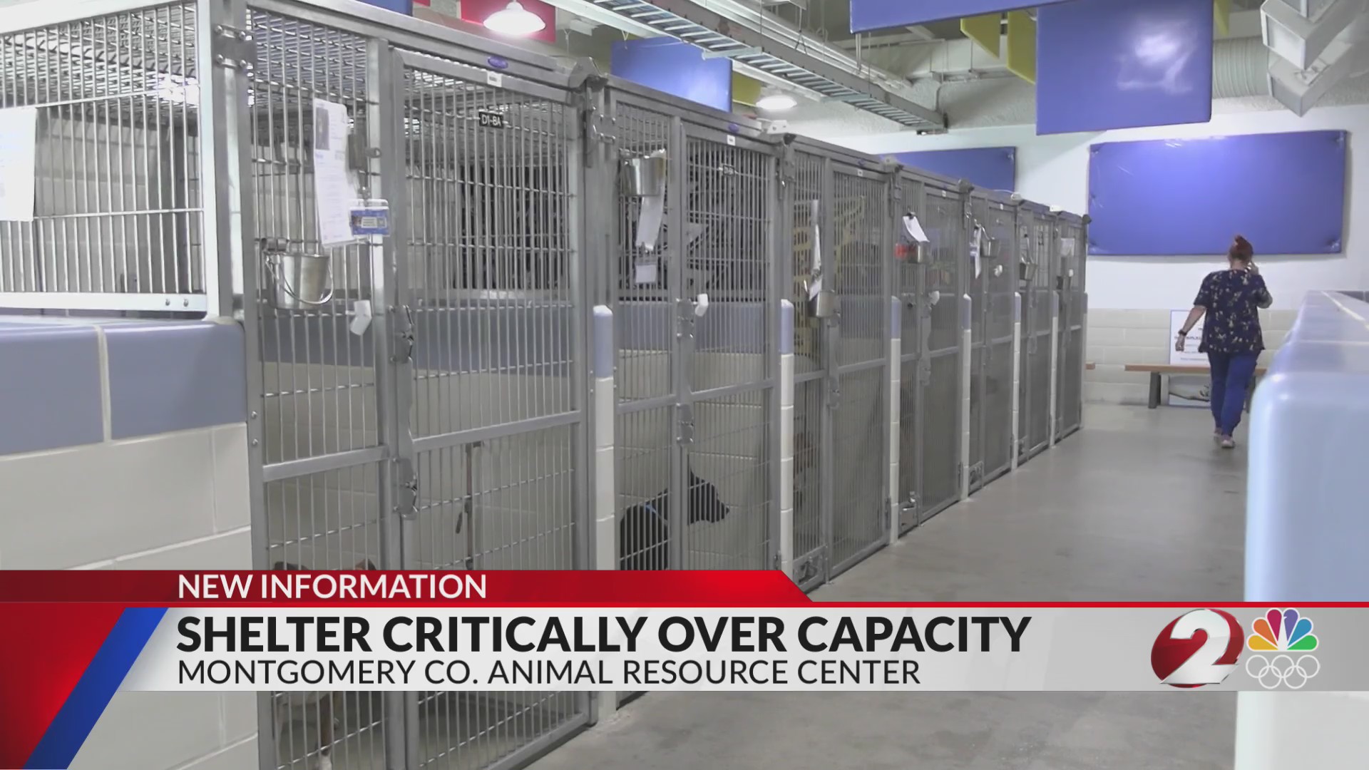 Montgomery Co. Animal Resource Center critically over capacity – WDTN.com