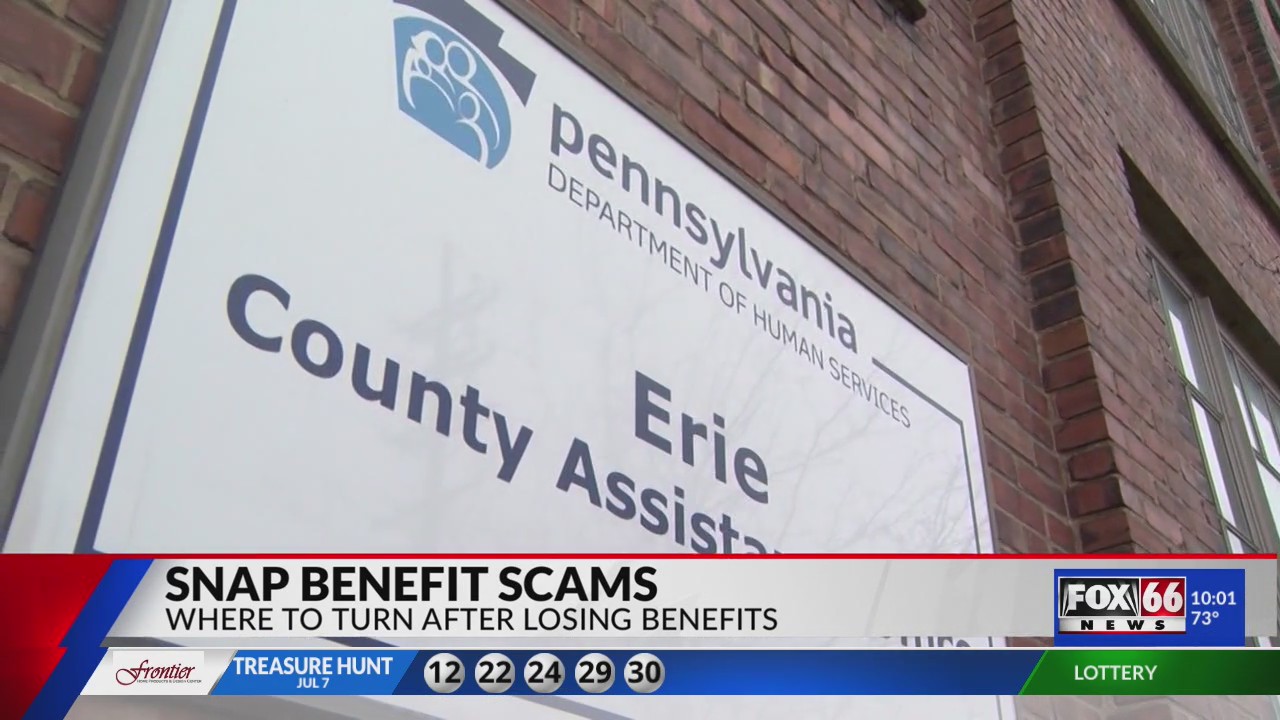 SNAP benefit scams: where to turn after losing benefits to scammers ...