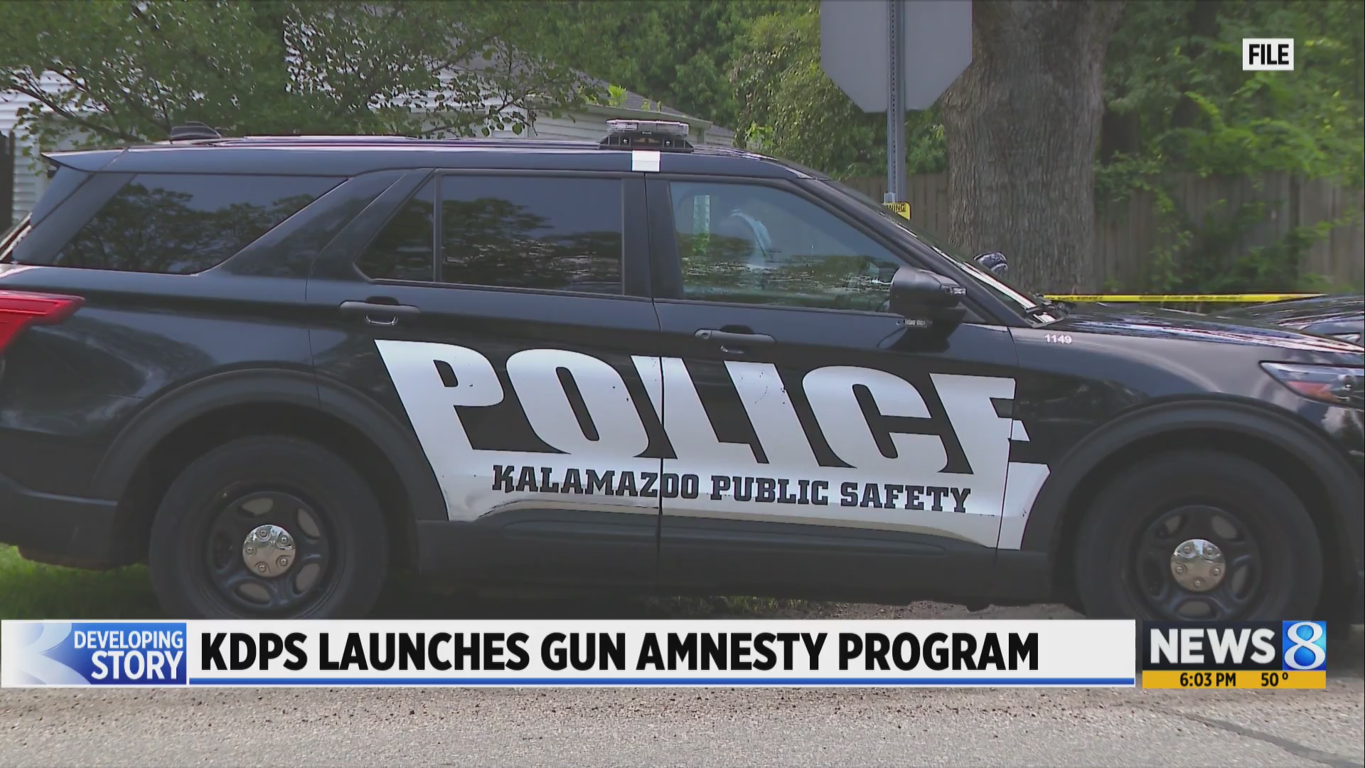 Kalamazoo police start gun amnesty program – WOODTV.com