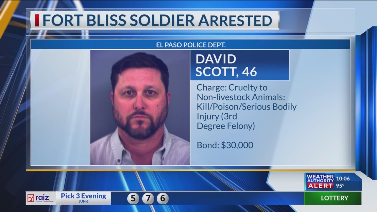Fort Bliss soldier arrested for animal cruelty after video goes viral – KTSM 9 News