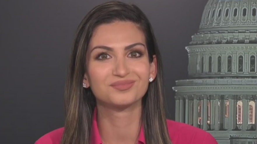 Harris interrupts campaign to help arrange Hurricane Helene aid ...