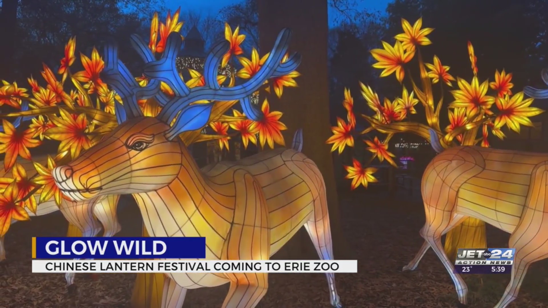 ‘Glow’ wild at the Erie Zoo’s Chinese lantern festival this spring ...