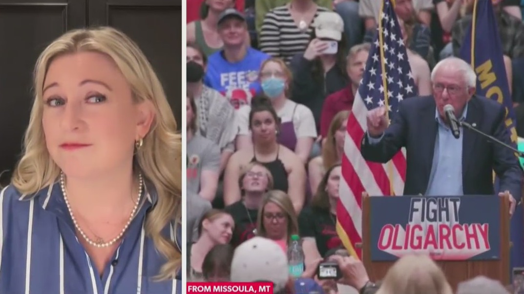 ‘Good fighters’ are the future of Democratic Party: Strategist | On ...