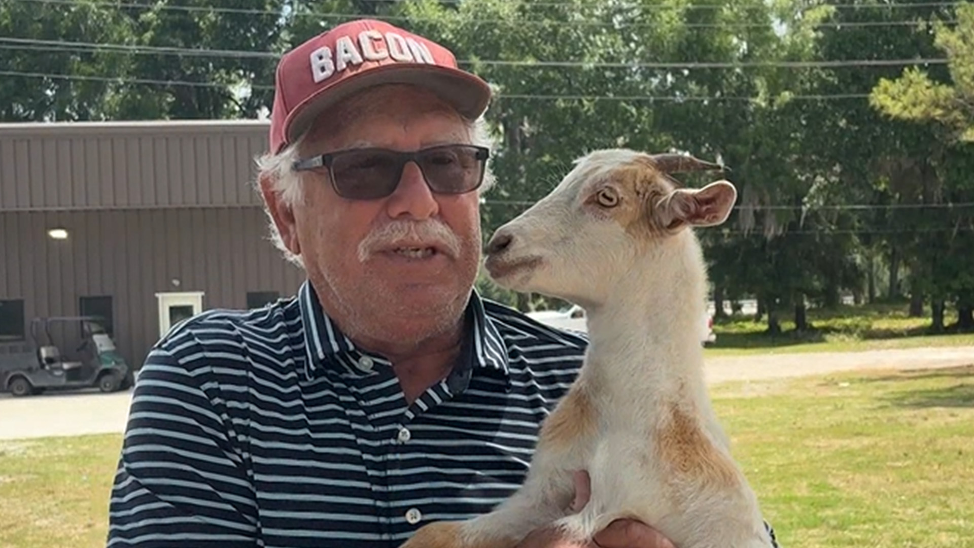 Pork & Beans Pet Report: Bacon Park Goats – WSAV-TV