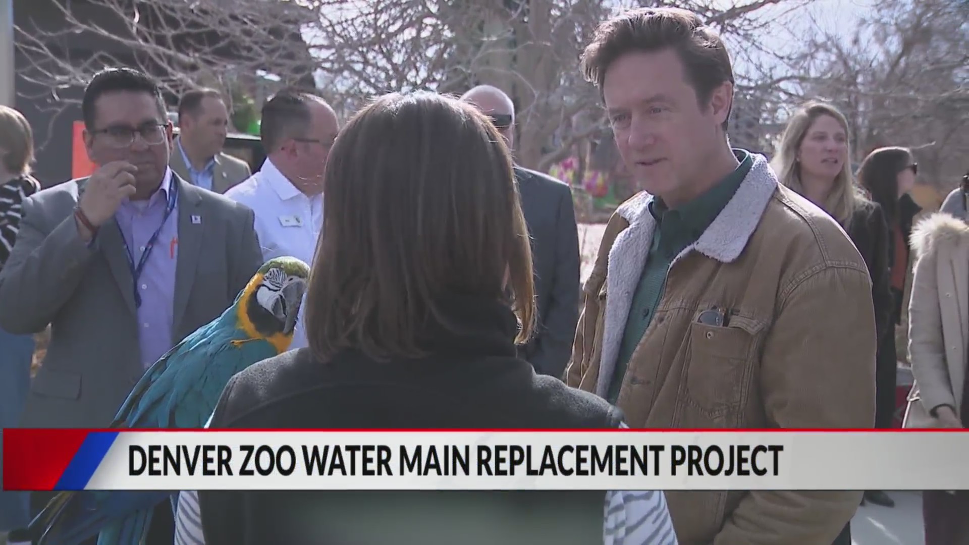 Denver Zoo completes first phase of water main replacement project ...