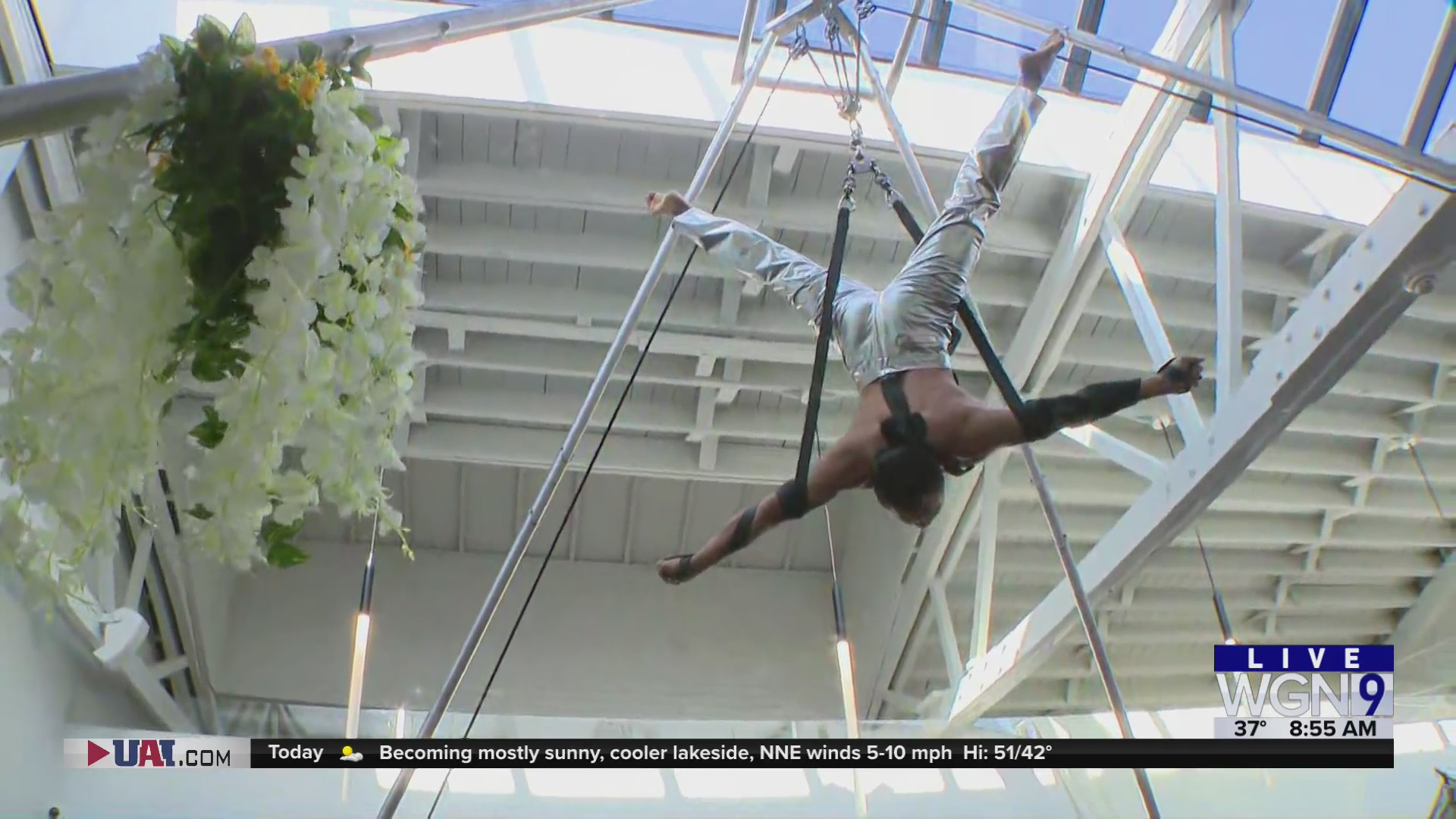 Around Town – Chicago Circus and Performing Arts – WGN-TV