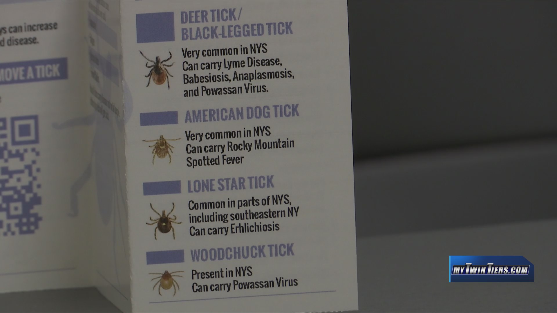 Where you can find ticks and how to protect yourself from them – WETM ...